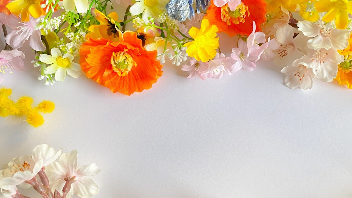 Sakura Collection – midorika OFFICIAL ONLINE SHOP